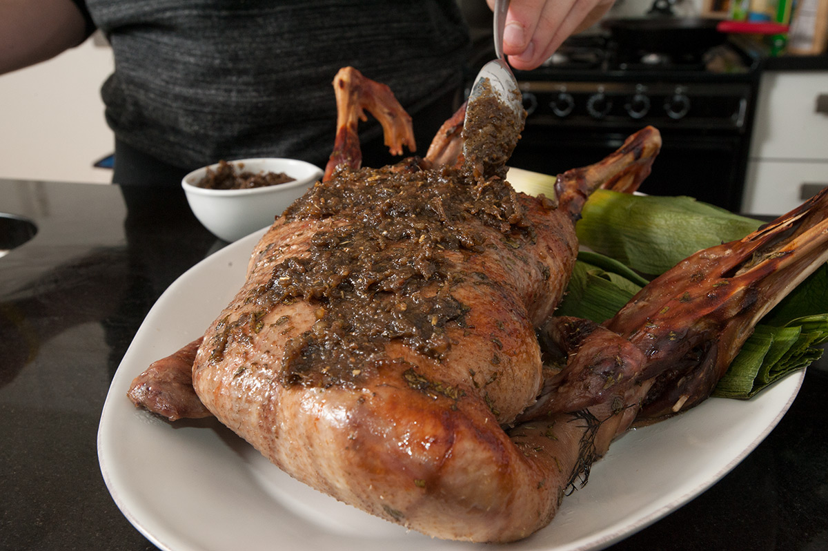 Ancient Recipe: Braised Flamingo (Roman, 5th century CE) | Pass The ...