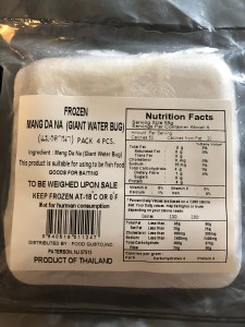 Spotlight On: Giant Water Bug (Mang Da) | Pass The Flamingo: Ancient ...