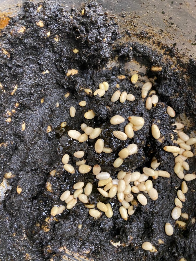 Pass The Flamingo: Ancient Food History and Recipes | Ancient food ...